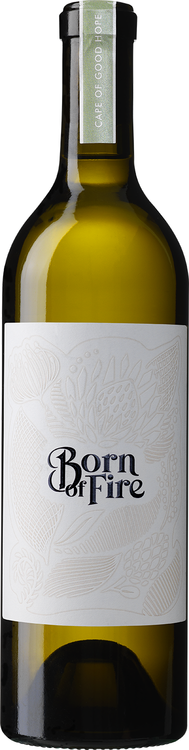 Born of Fire Chenin Blanc - Viva vin o mat